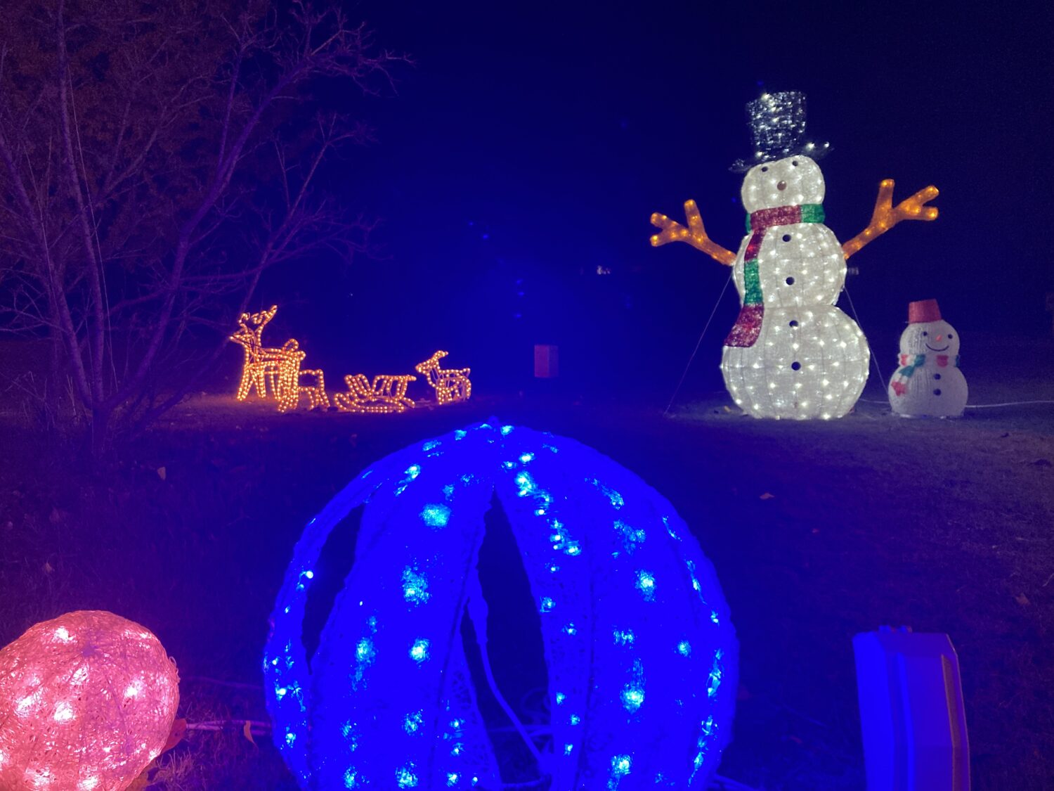 ツリー点灯式 | 共愛学園高等学校